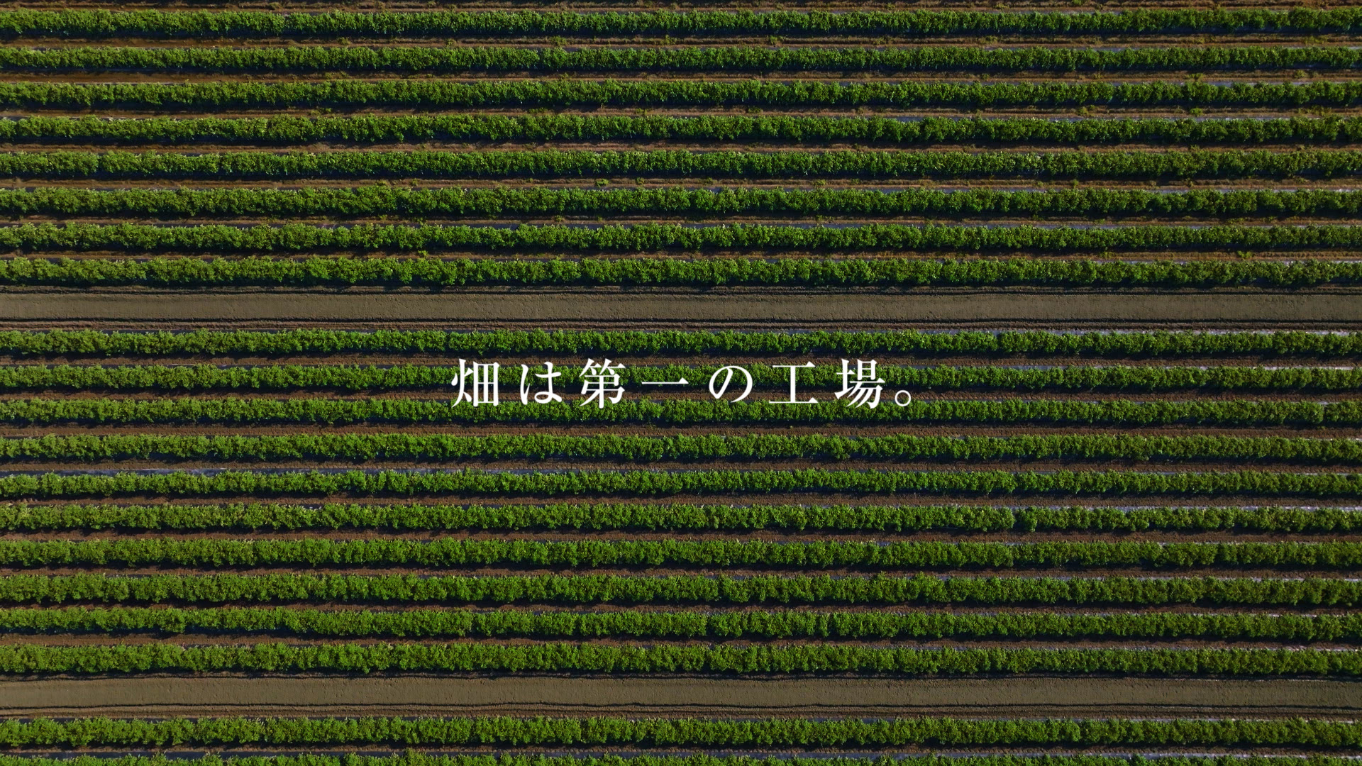 野菜や農業と真摯に向き合う「カゴメ」の想いを届ける、コーポレートブランドTVCM | PR EDGE