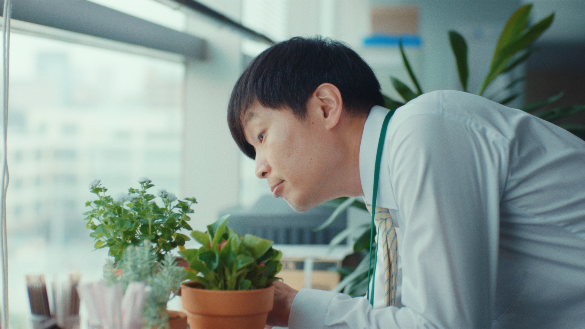 野菜や農業と真摯に向き合う「カゴメ」の想いを届ける、コーポレートブランドTVCM | PR EDGE