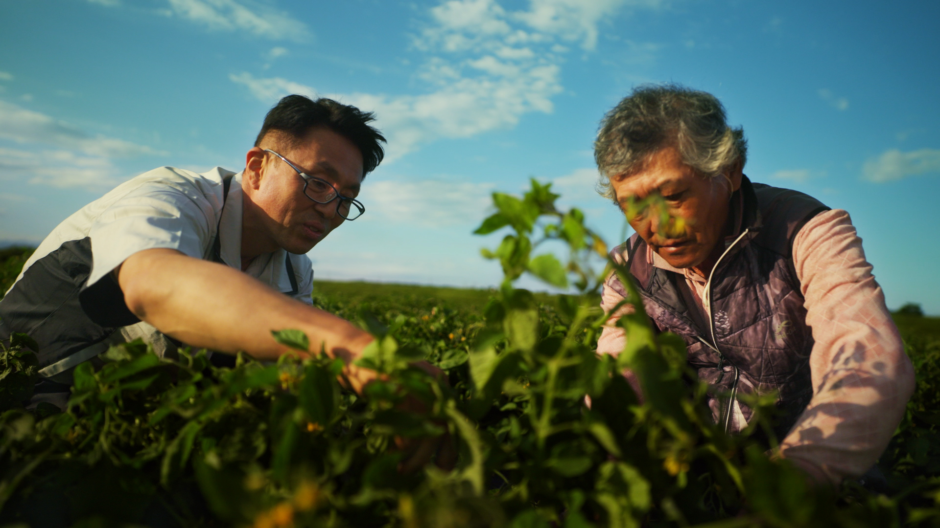 野菜や農業と真摯に向き合う「カゴメ」の想いを届ける、コーポレートブランドTVCM | PR EDGE
