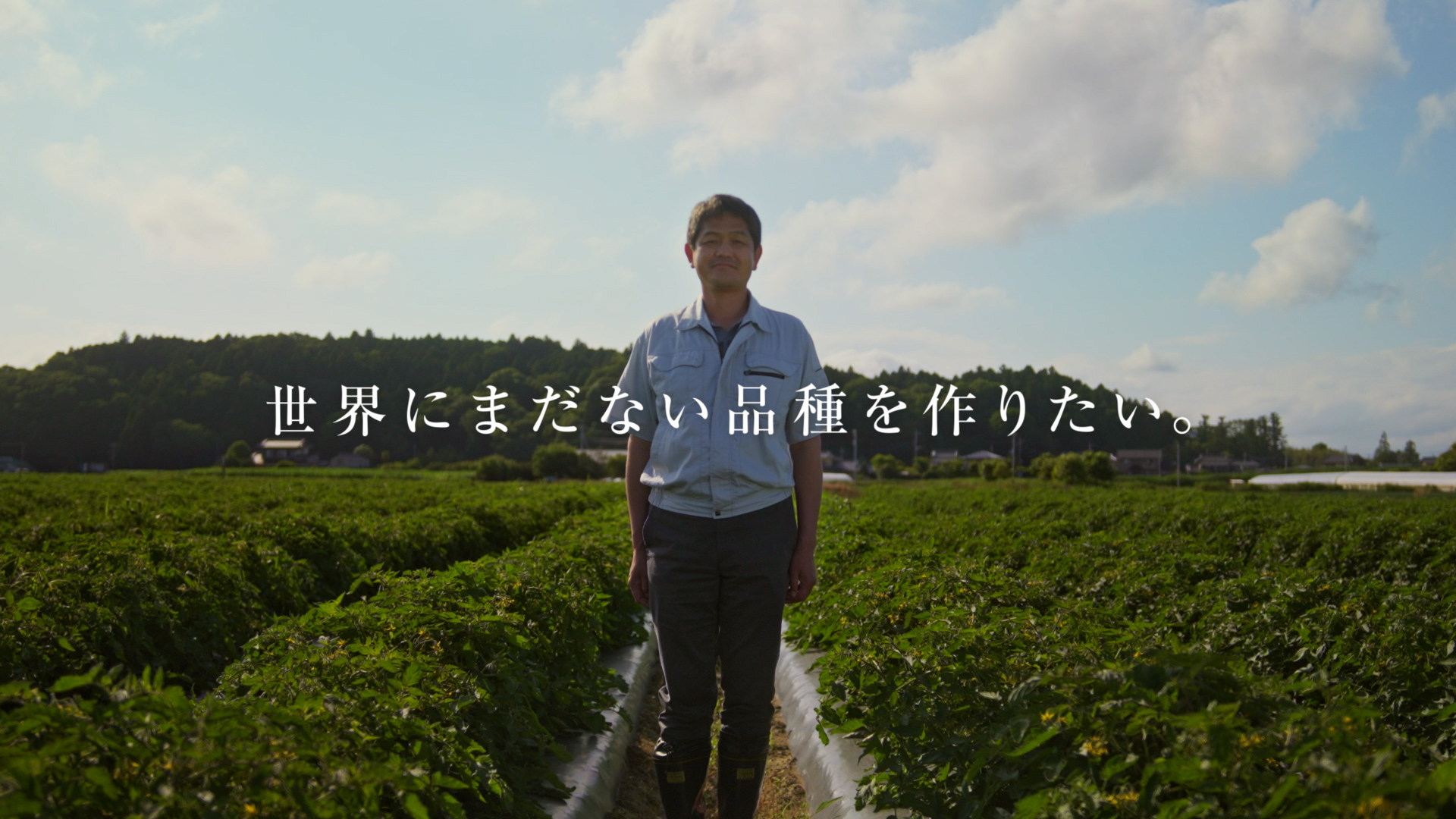 野菜や農業と真摯に向き合う「カゴメ」の想いを届ける、コーポレートブランドTVCM | PR EDGE